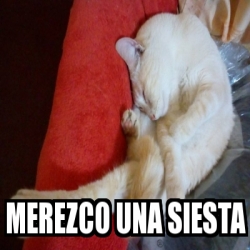 Meme Personalizado - merezco una siesta - 24775537