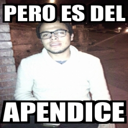 Meme Personalizado - pero es del apendice - 24839268