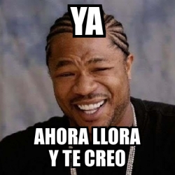 Meme Yo Dawg - ya ahora llora y te creo - 24952638