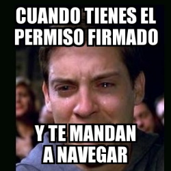 Meme crying peter parker - Cuando tienes el permiso firmado Y te mandan ...