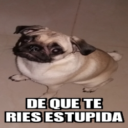 Meme Personalizado - De que te ries estupida - 25103966