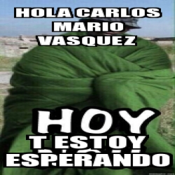 Meme Personalizado - Hola carlos mario vasquez T estoy esperando - 25140691