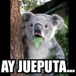 Meme Koala - Ay jueputa... - 25170141