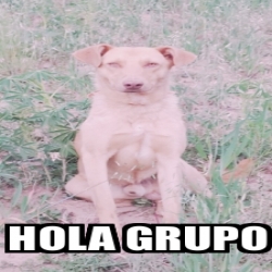 Meme Personalizado - Hola grupo - 25201088