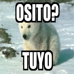 Meme Personalizado - Osito? Tuyo - 25225320
