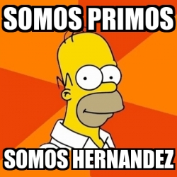 Meme Homer - Somos primos Somos Hernandez - 25231869