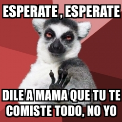 Meme Chill Out Lemur - esperate , esperate dile a mama que tu te ...