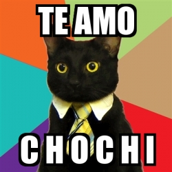 Meme Business Cat - Te AMO C H O C H I - 25281950