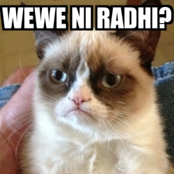 Meme Grumpy Cat - Wewe ni radhi? - 25290093