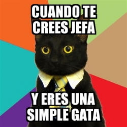 Meme Business Cat - Cuando te crees jefa Y eres una simple gata - 25335637