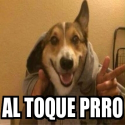 Meme Personalizado - Al toque prro - 25366026