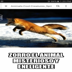 Meme Personalizado - Zorro el animal Misterioso y Eneligente - 25385964
