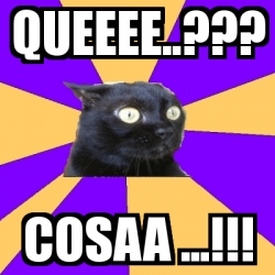 Meme Anxiety Cat - queeee..??? cosaa ...!!! - 25407253