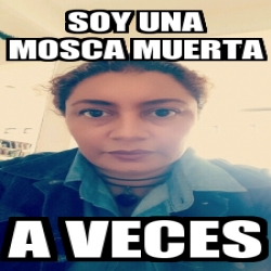 Meme Personalizado - soy una mosca muerta a veces - 25423667