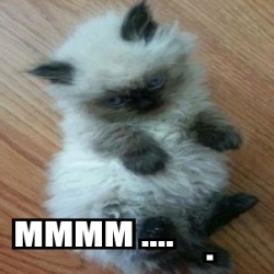 Meme Personalizado - mmmm .... . - 25423798