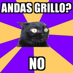 Meme Anxiety Cat - andas Grillo? no - 25462902