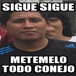 Meme Personalizado - sigue sigue metemelo todo conejo - 25468219