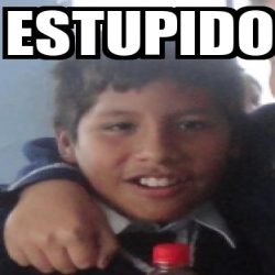 Meme Personalizado - Estupido - 25519207