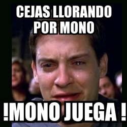 Meme crying peter parker - Cejas llorando por mono !mono juega ! - 25644515