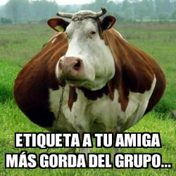 Meme Personalizado - Etiqueta a tu amiga mÃ¡s gorda del grupo... - 25658202