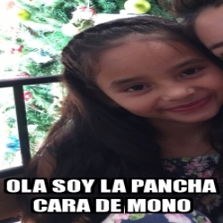 Meme Personalizado - Ola soy la pancha cara de mono - 25719848