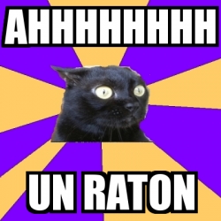 Meme Anxiety Cat - Ahhhhhhhh un raton - 25768252