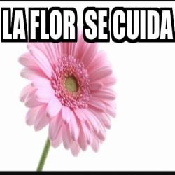 Meme Personalizado - La flor se cuida - 25810987