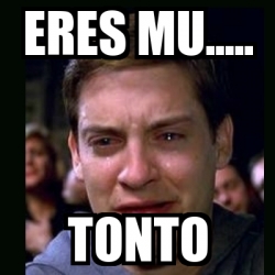 Meme crying peter parker - Eres mu..... tonto - 25825425