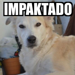 Meme Personalizado - impaktado - 25898148
