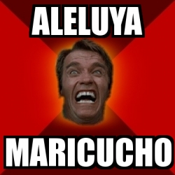 Meme Arnold - ALELUYA MARICUCHO - 25991578