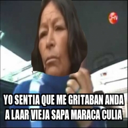 Meme Personalizado - yo sentia que me gritaban anda a laar vieja sapa ...