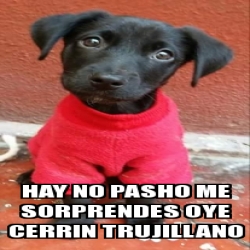 Meme Personalizado - Hay no Pasho me sorprendes oye cerrin trujillano ...