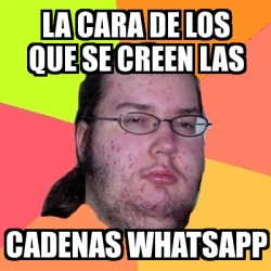 Meme Friki - La cara de los que se creen las cadenas WhatsApp - 26753328