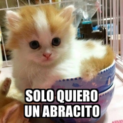Meme Personalizado - Solo quiero un abracito - 26792851