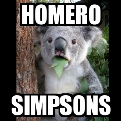 Meme Koala - Homero Simpsons - 26914003