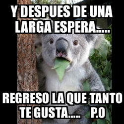 Meme Koala - Y DESPUES DE UNA LARGA ESPERA..... REGRESO LA QUE TANTO TE ...