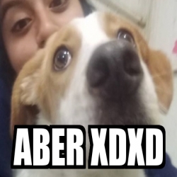 Meme Personalizado - aber xdxd - 27010519