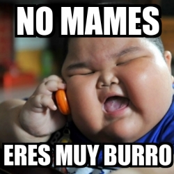 Meme fat chinese kid - no mames eres muy burro - 27230929