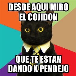 Meme Business Cat - DESDE AQUI MIRO EL COJIDON QUE TE ESTAN DANDO X PENDEJO - 27254099