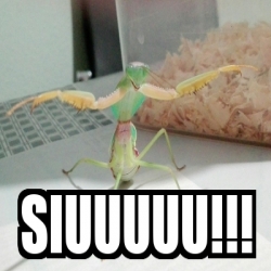 Meme Personalizado - SIUUUUU!!! - 27439208