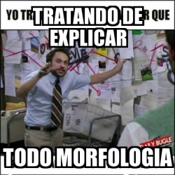 Meme Personalizado - Tratando de explicar todo morfologia - 27556632