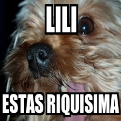Meme Personalizado - Lili Estas riquisima - 27858699