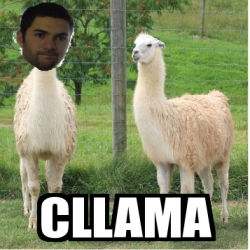 Meme Personalizado - cllama - 27879060