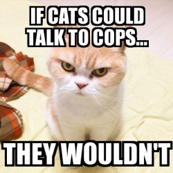 Meme Personalizado - If cats could talk to cops... They wouldn't - 27887255