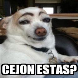 Meme Personalizado - CEJON ESTAS? - 27897164