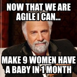 Meme Most interesting man - now that we are agile i can... make 9 women ...