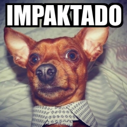 Meme Personalizado - Impaktado - 28240098