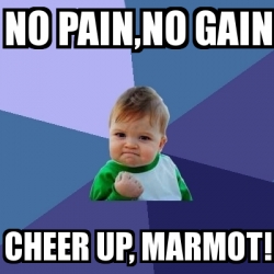 Meme Bebe Exitoso - No pain,no gain Cheer up, marmot! - 28297285