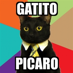 Meme Business Cat - Gatito Picaro - 28389665