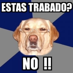Meme Perro Racista - estas trabado? no !! - 28399673